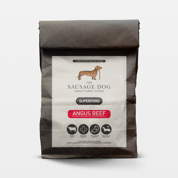 Superfood: Angus Beef With Carrot & More | Sausage Dog Sanctuary Food