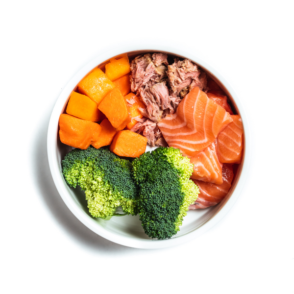 Grain-Free: Tuna With Sweet Potato & Broccoli | Adult | Sausage Dog ...