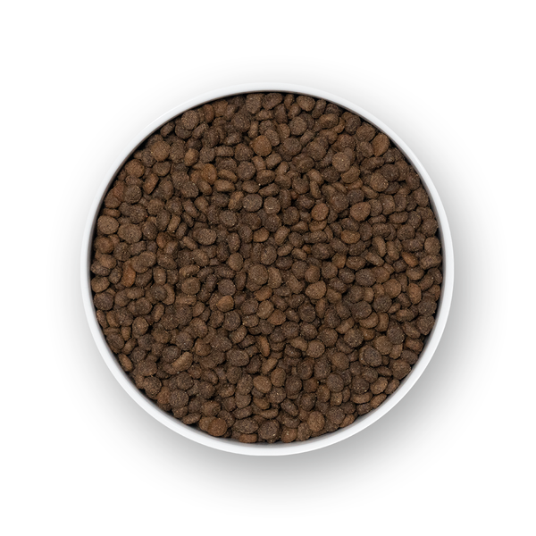 Superfood: Free Range Turkey With Parsley & More | Sausage Dog ...
