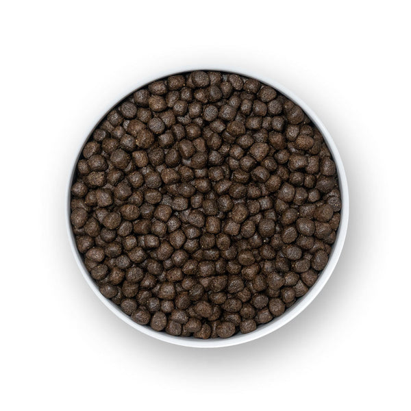 Grain-Free Puppy Superfood: Scottish Salmon With Dill & More | Sausage ...