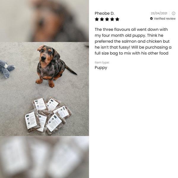 Superfood Sample Pack | Dachshund Food | Sausage Dog Sanctuary Food